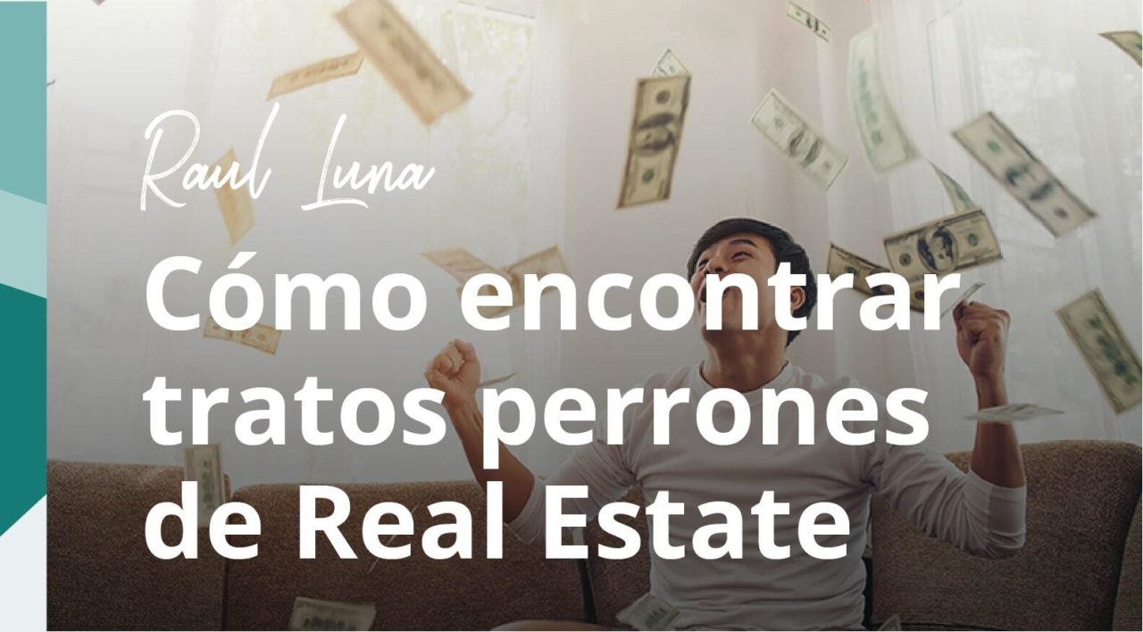 Programas - Raul Luna